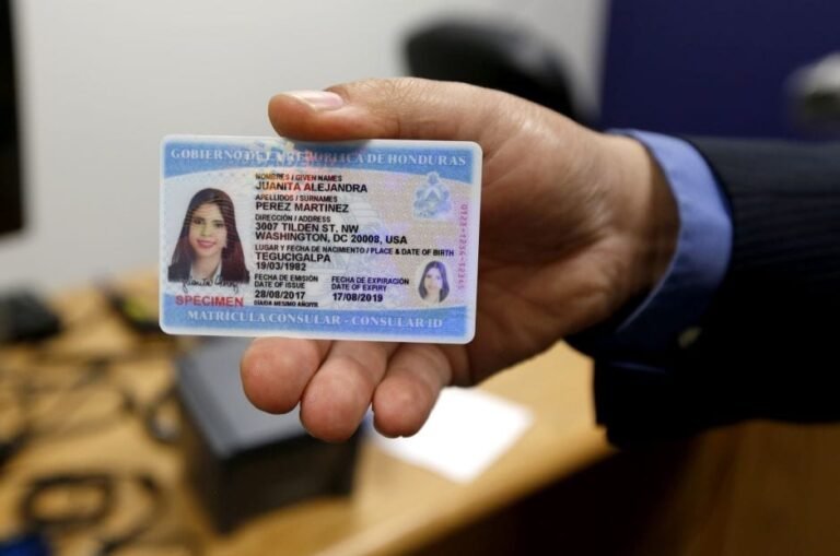 Honduras' international license : Application Guide